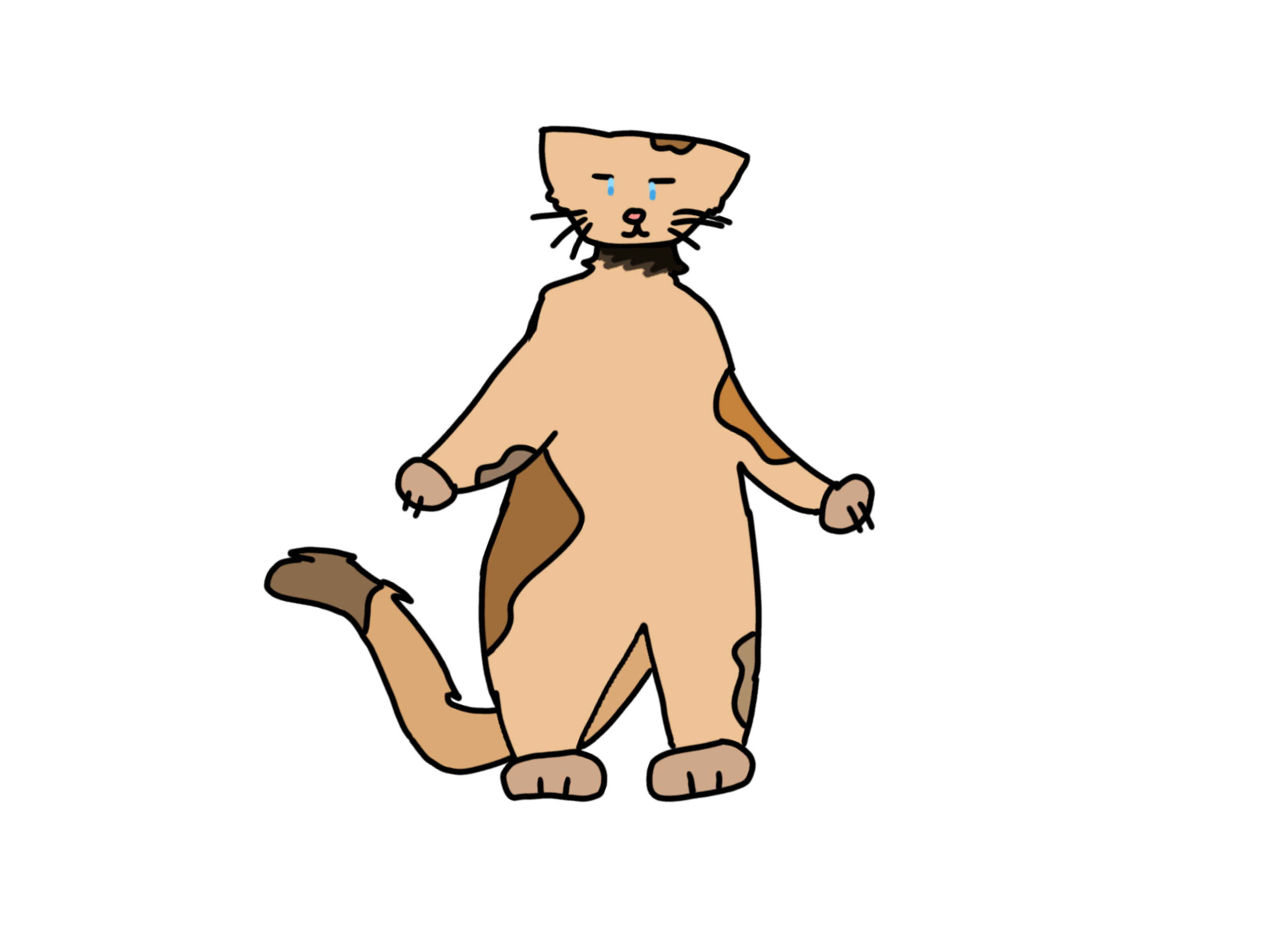Moca the cat qwp - ibisPaint