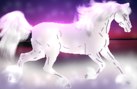 Snowwhite, my white mare - ibisPaint