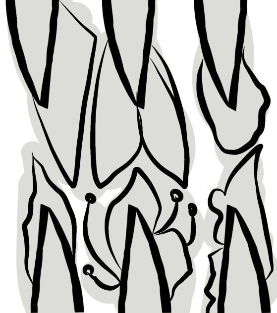 tail doddels - ibisPaint