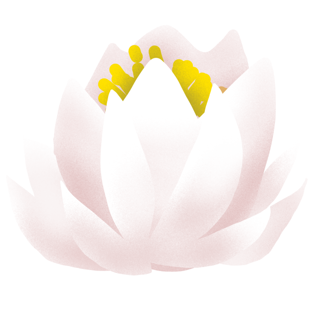 lotus flower bloom - ibisPaint