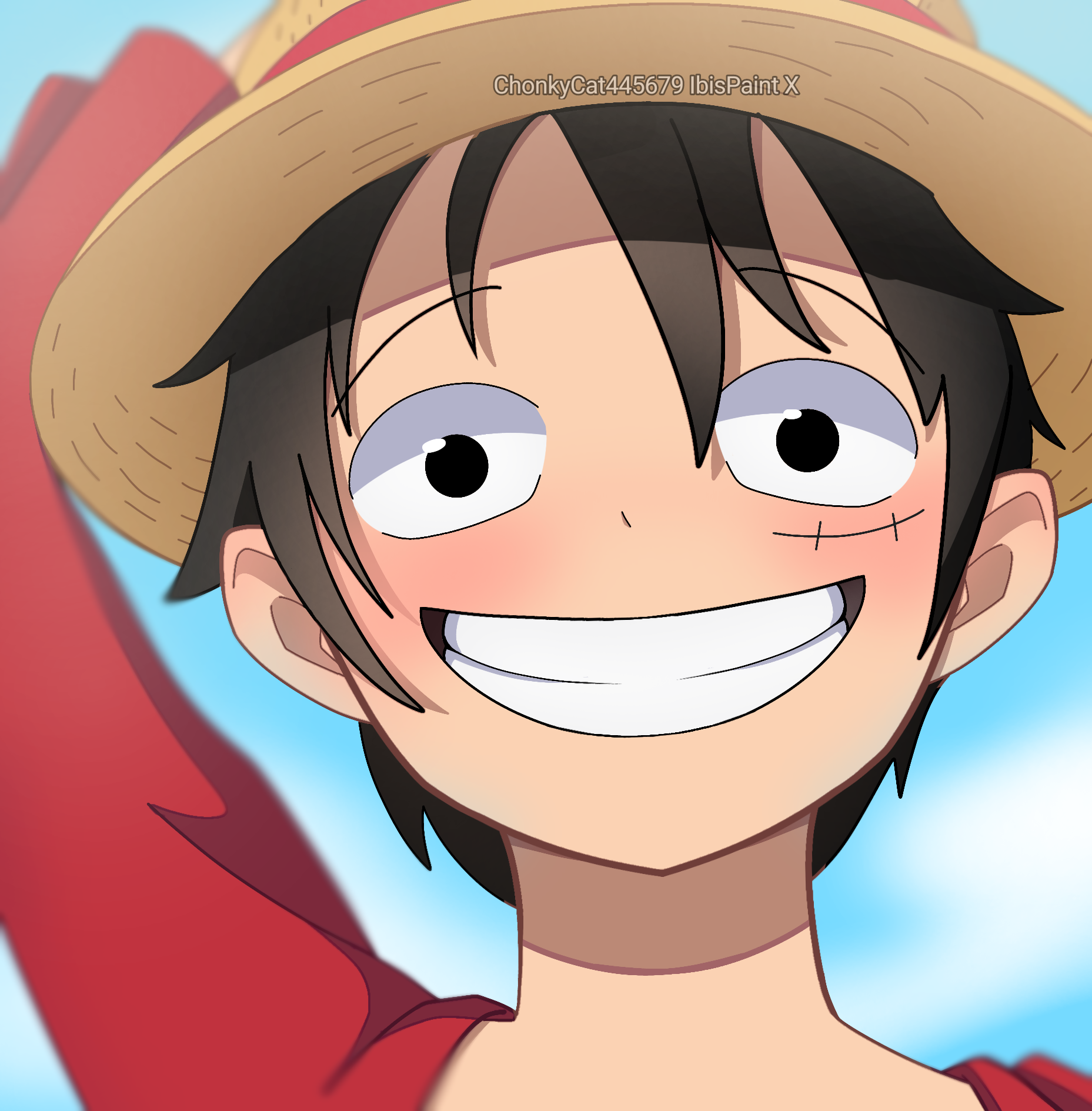 Luffy One Piece - ibisPaint