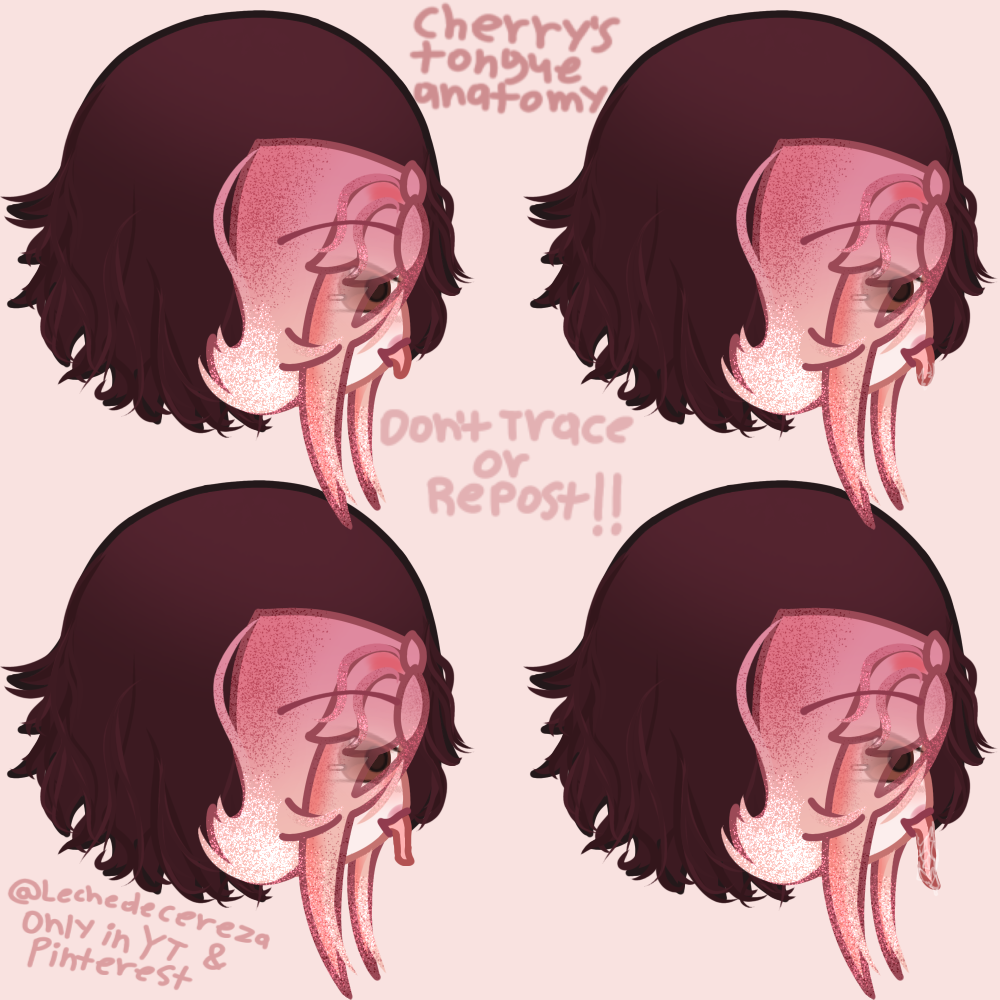 Cherry’s tongue anatomy - ibisPaint