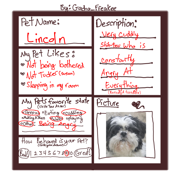 Pet Info Sheet (Lincoln) - ibisPaint