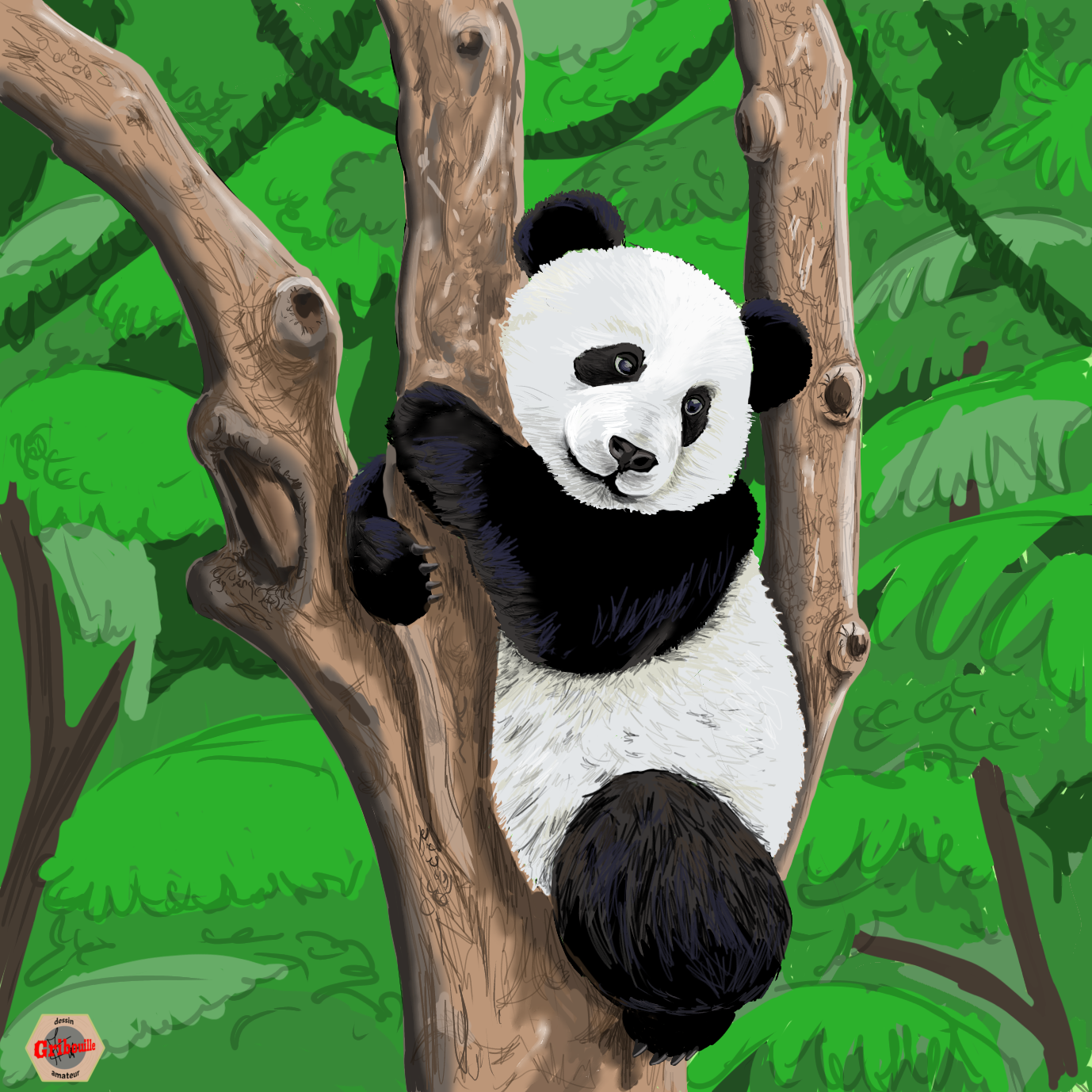 Petit Panda 🐼 - ibisPaint