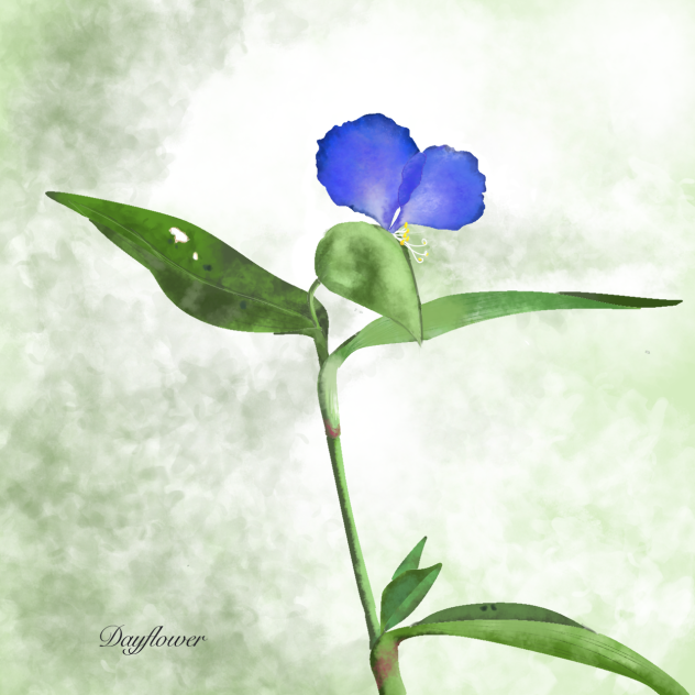 無題658 - ibisPaint