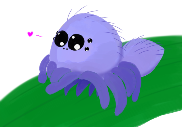 Lil' Jumping Spider - ibisPaint