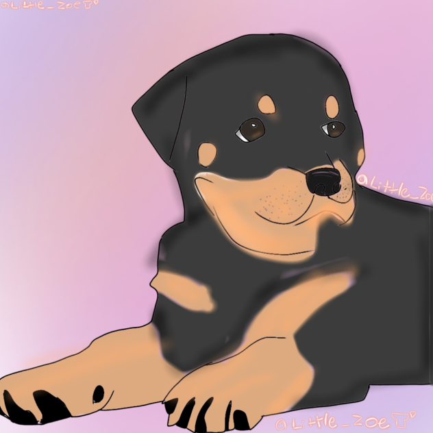 dog - ibisPaint