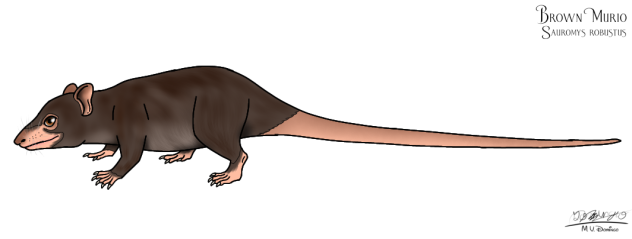 Brown Murio - ibisPaint