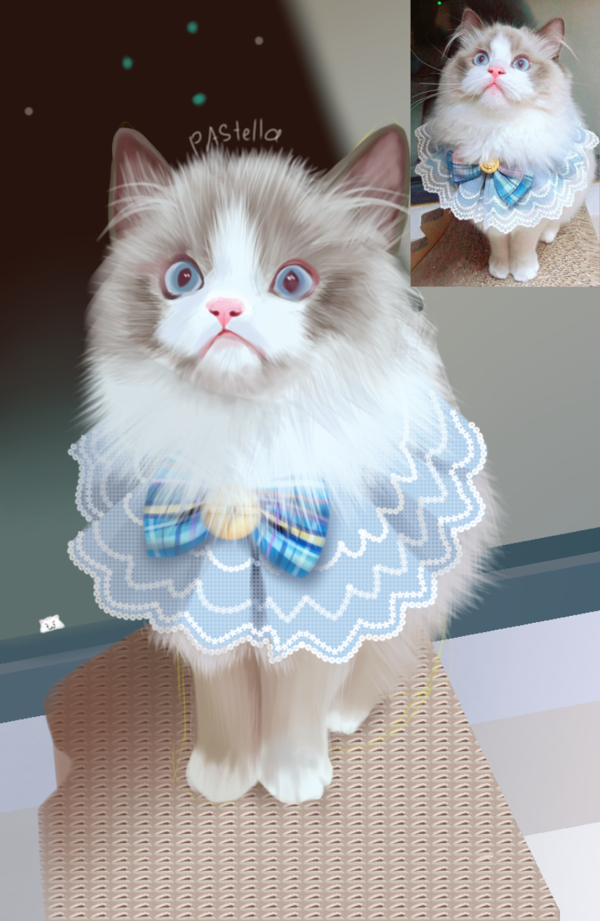 Ragdoll Cat - ibisPaint