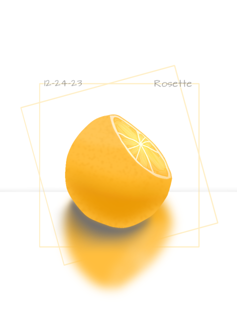 Semi-realistic Orange - ibisPaint