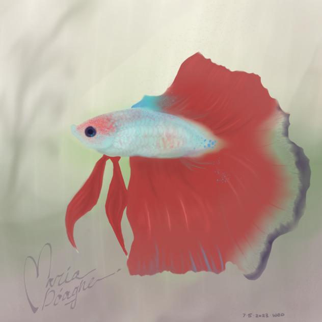 Bright blue betta - ibisPaint