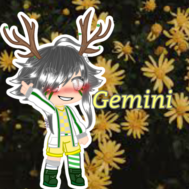 Gemini ♊ - ibisPaint