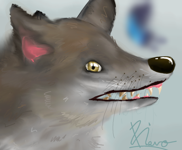 Wolf - ibisPaint