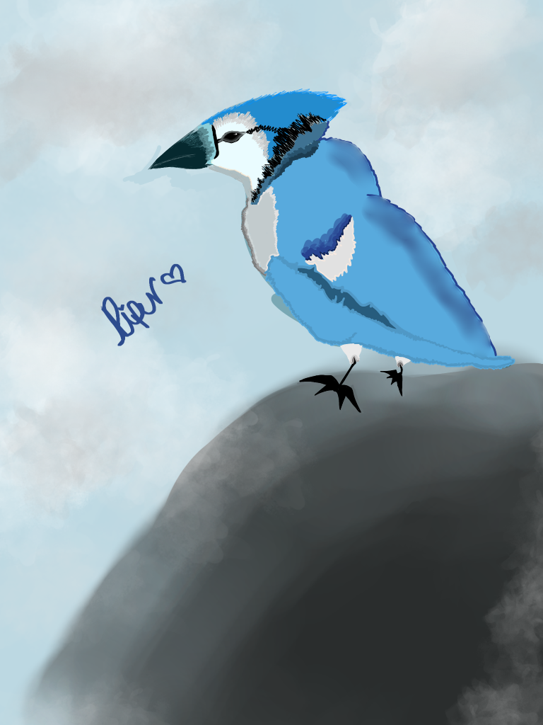 Blue Jay 💙🕊️🦜🪶🪽🥶🩵 - ibisPaint