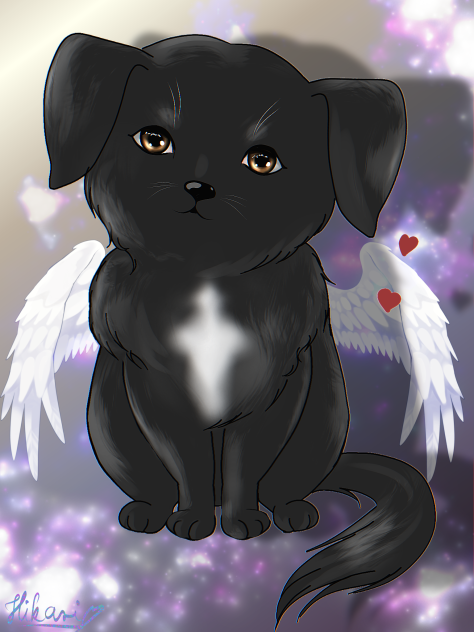Kicsi kincsem, my sweet puppy - ibisPaint