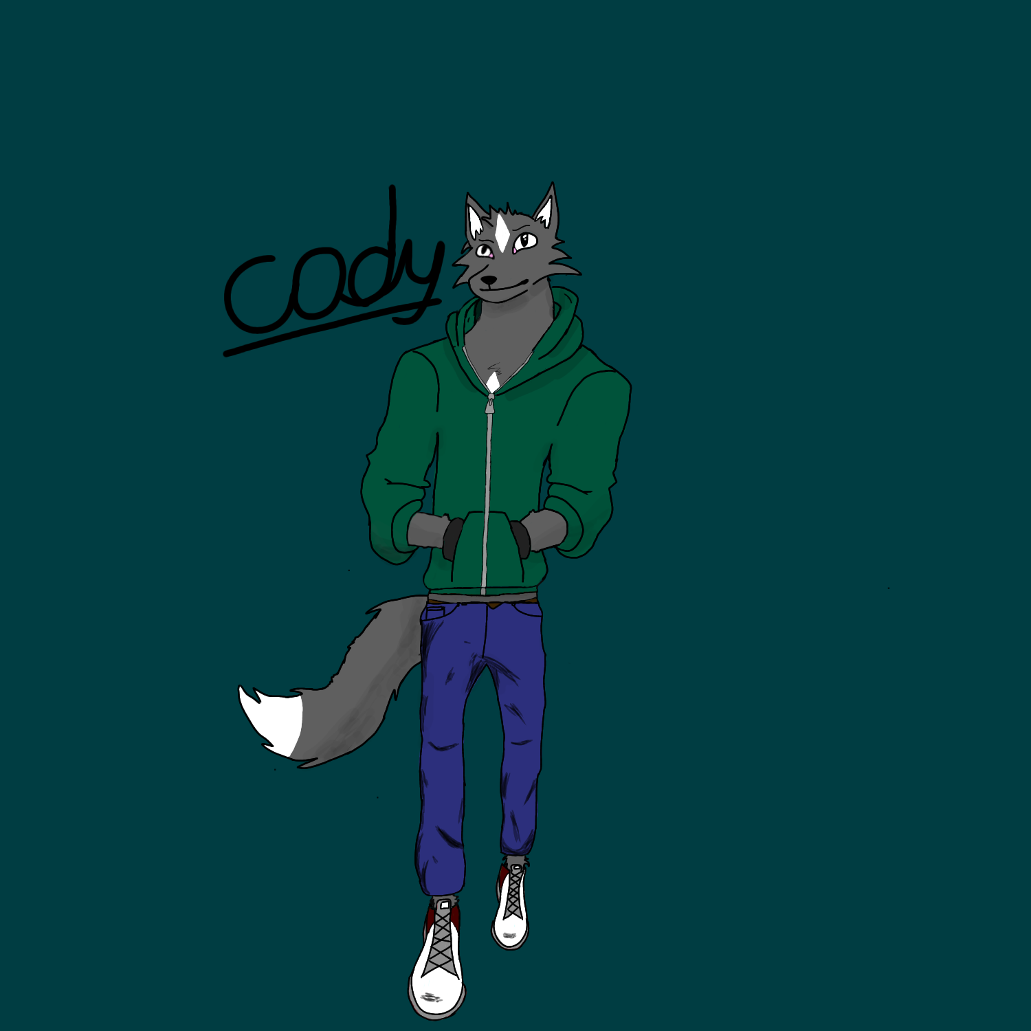 cody - ibisPaint