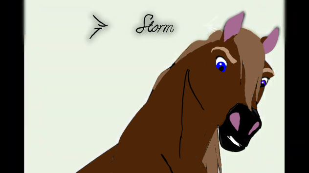 storm - ibisPaint