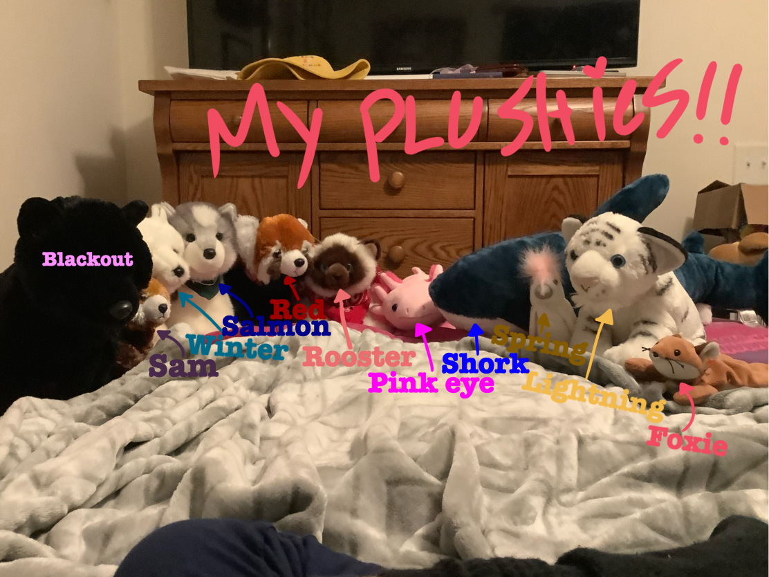 My plushies 😊 - ibisPaint