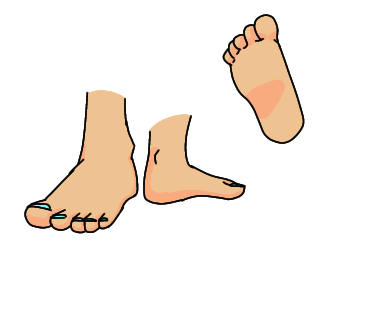 feet - ibisPaint