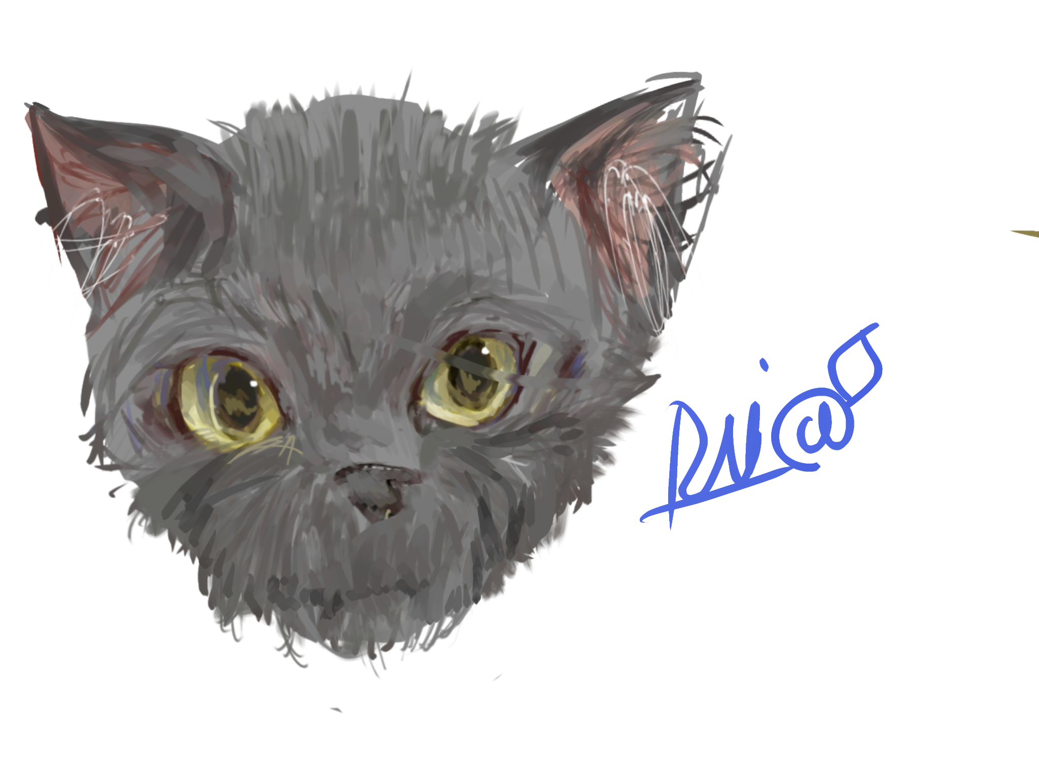 無題40 - ibisPaint