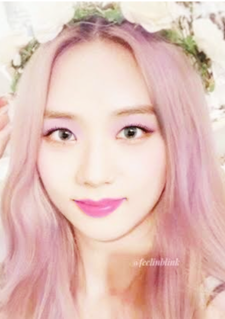 Kim jisoo - ibisPaint