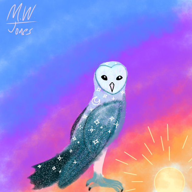 Night Owl - ibisPaint