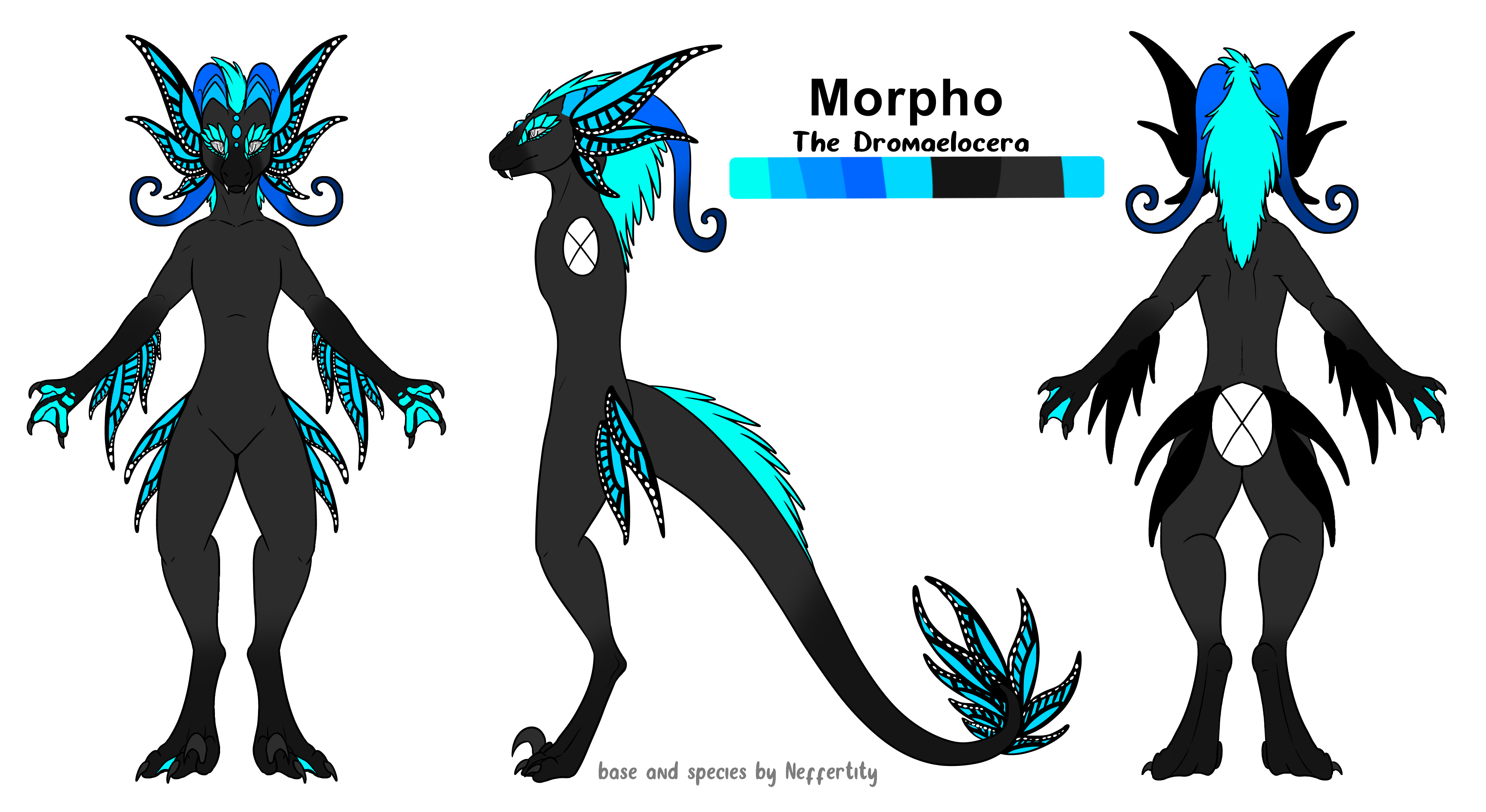 Morpho Anthro - ibisPaint