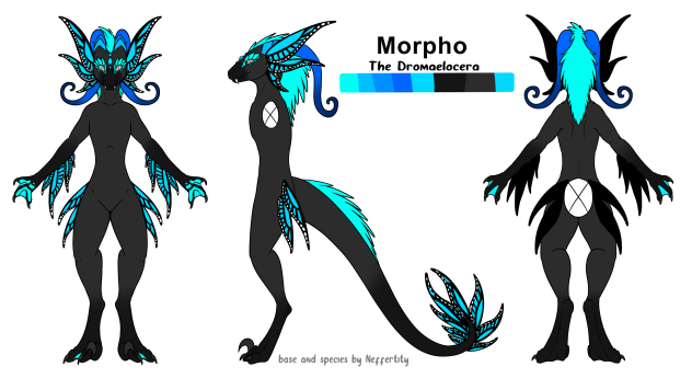 Morpho Anthro - ibisPaint