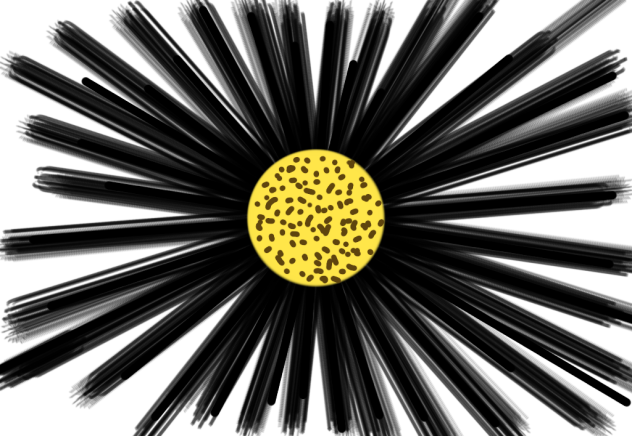 Death flower - ibisPaint