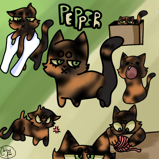 Pepper The Cat - ibisPaint