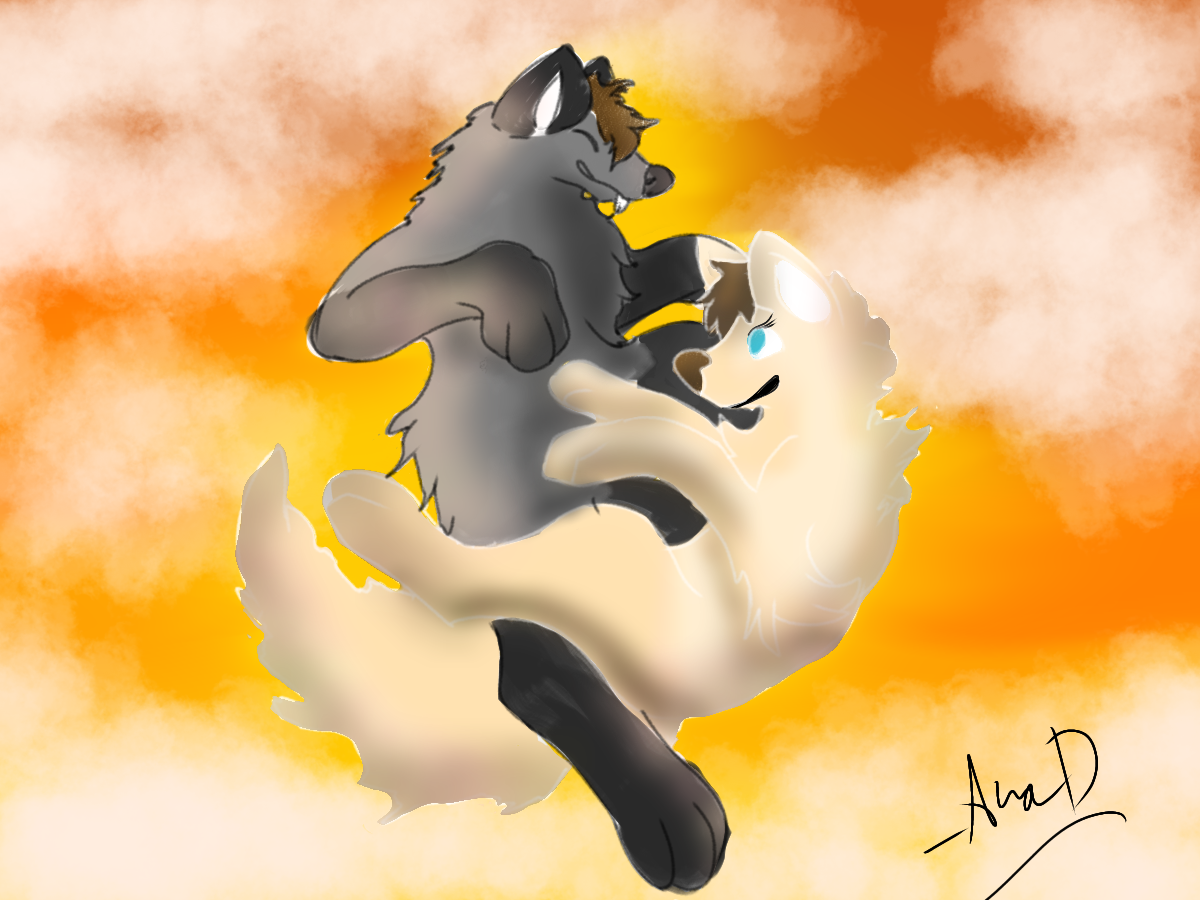 two wolves - ibisPaint