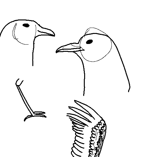 Bird practice - ibisPaint