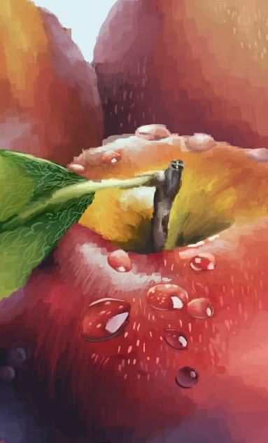 Apple - ibisPaint