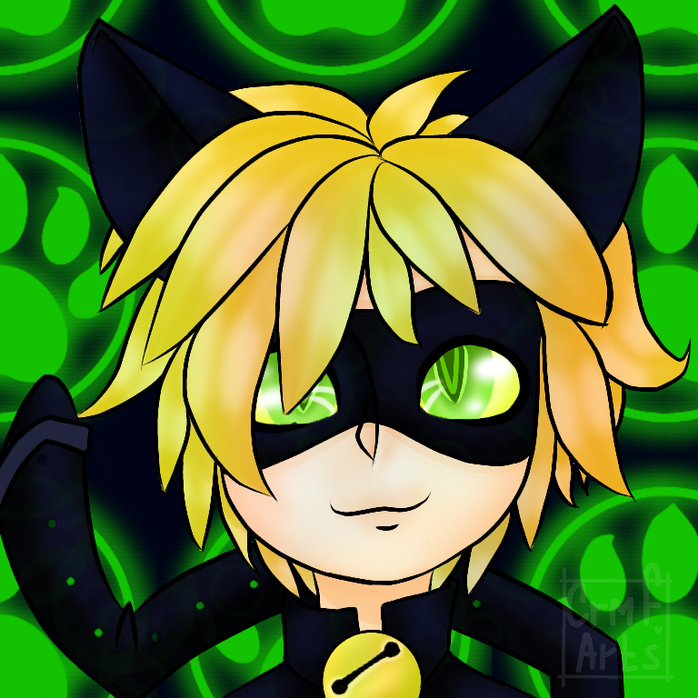Cat Noir - ibisPaint