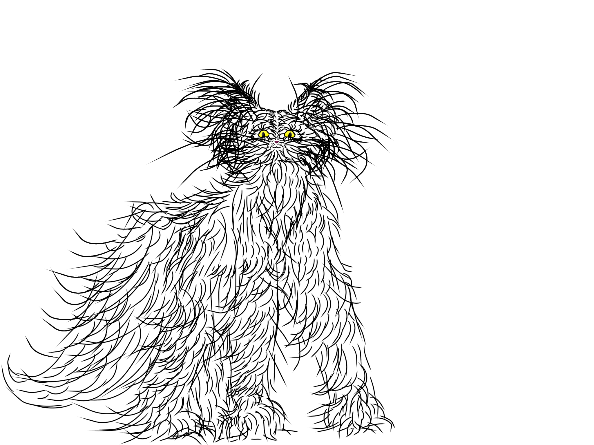 Wild cat - ibisPaint