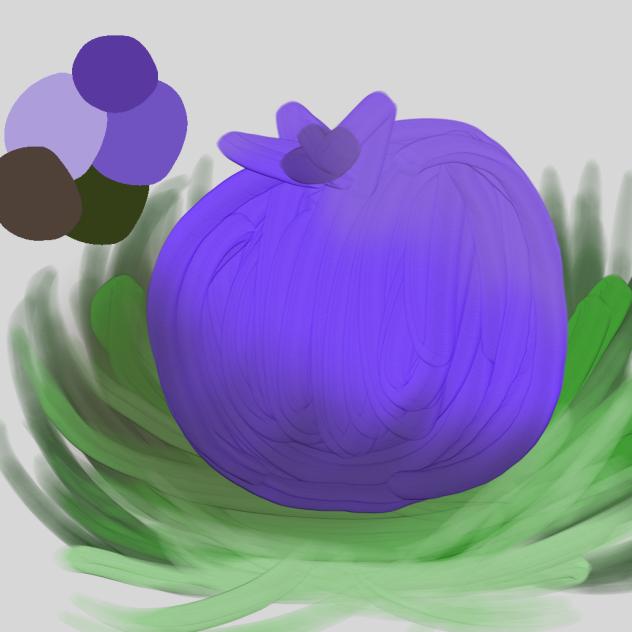 Blueberry in grass - ibisPaint