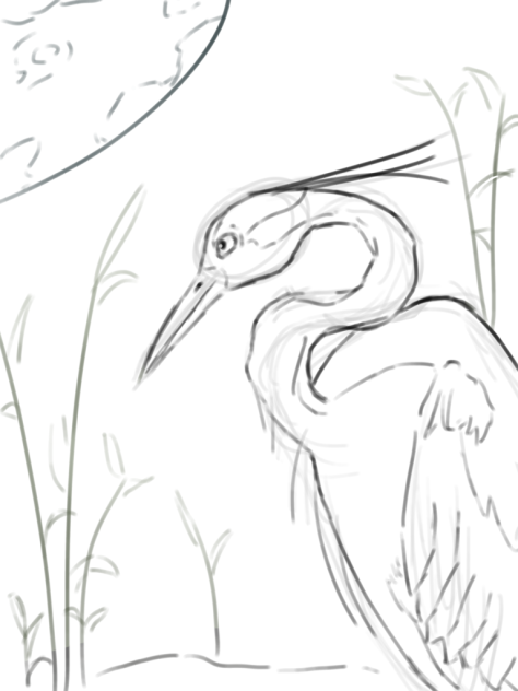 Heron - ibisPaint