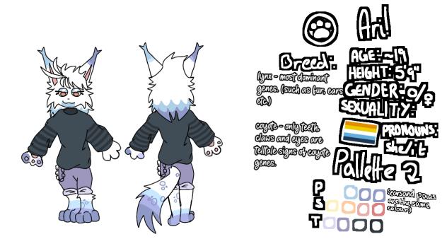 ari reference sheet remake - ibisPaint