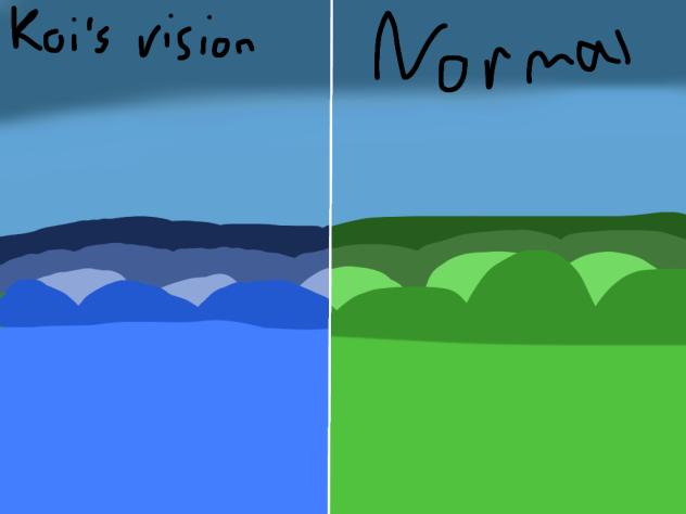 koi's vision - ibisPaint