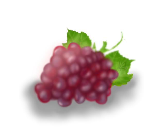 grapes - ibisPaint