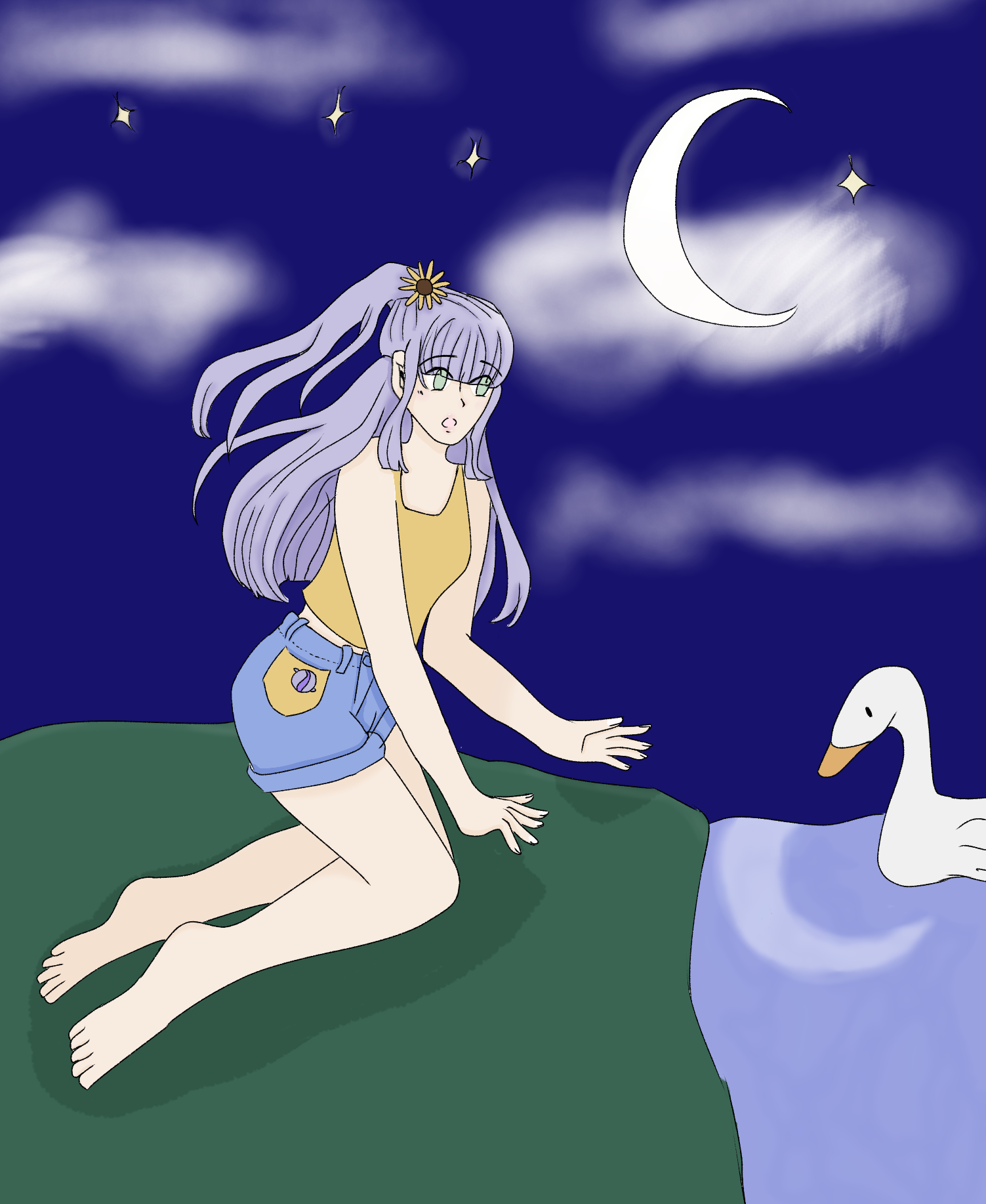 cloudy night - ibisPaint