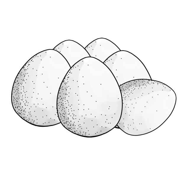 egg 🥚2 - ibisPaint