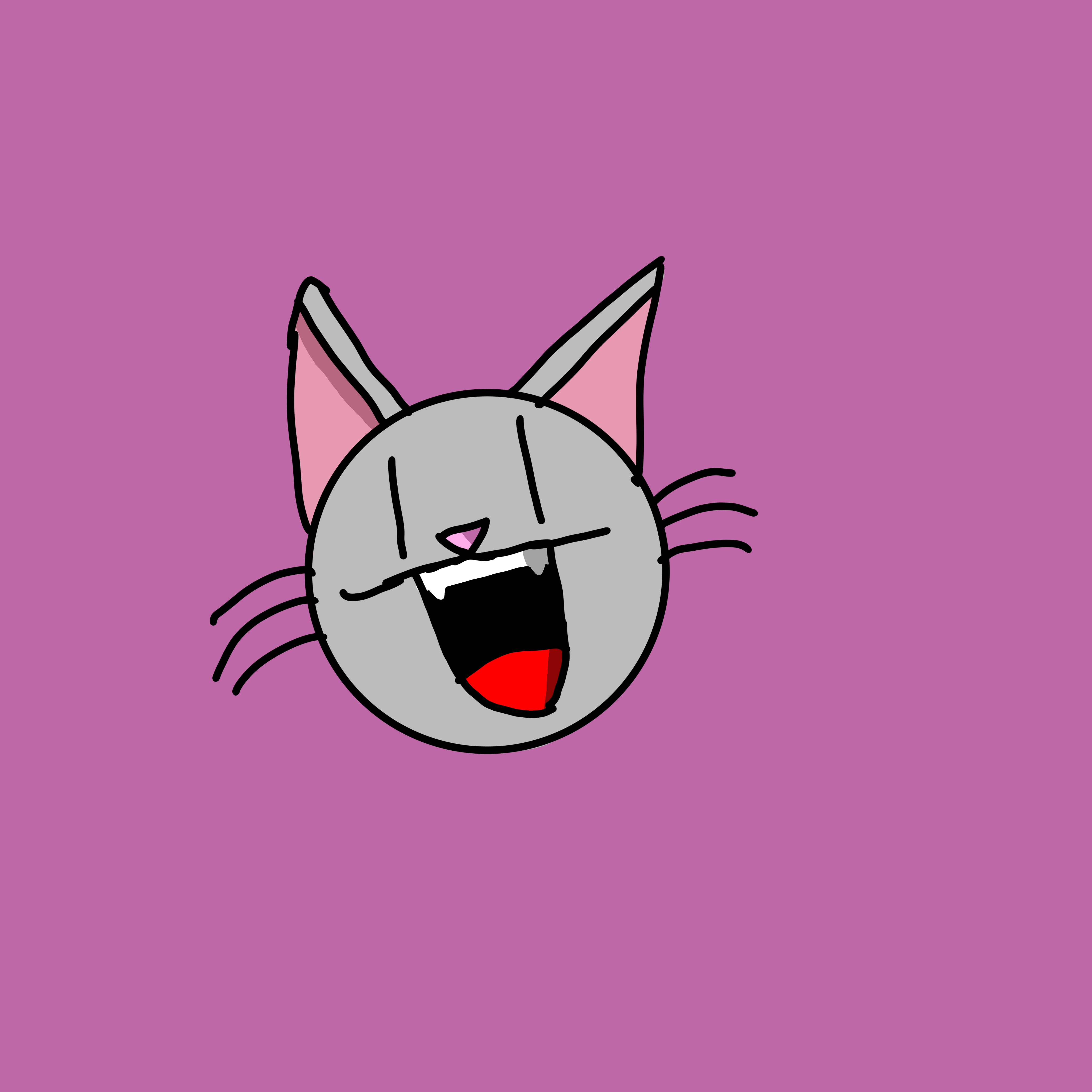 gato - ibisPaint