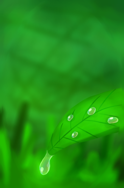 after rain - ibisPaint