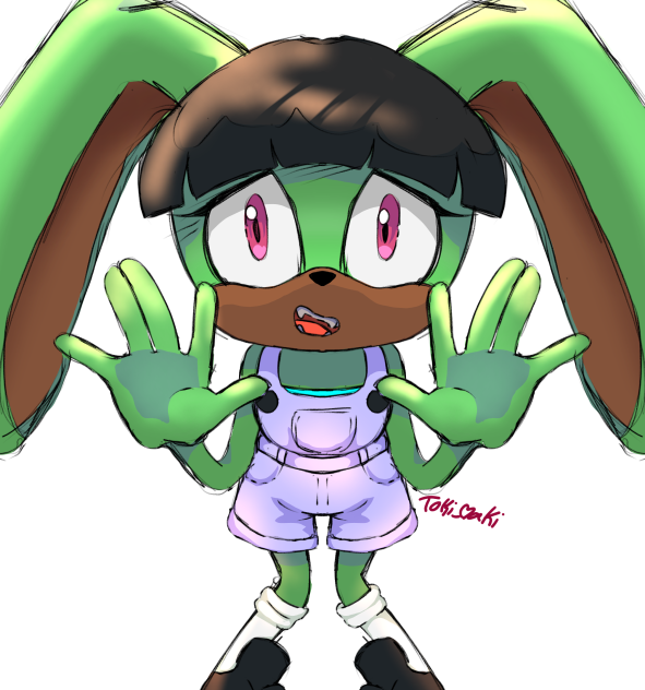 Sonic oc - ibisPaint