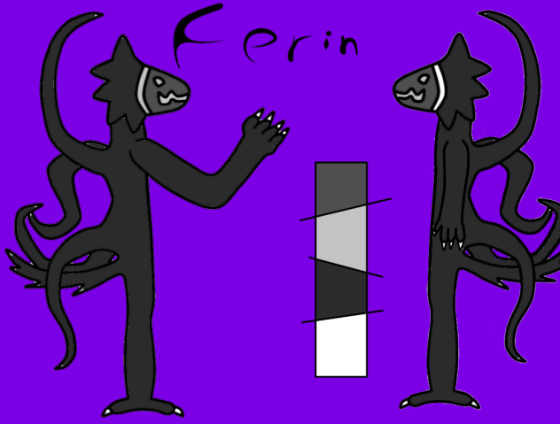 Ferin Ref - ibisPaint
