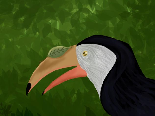 toucan with a leaf🍃 - ibisPaint