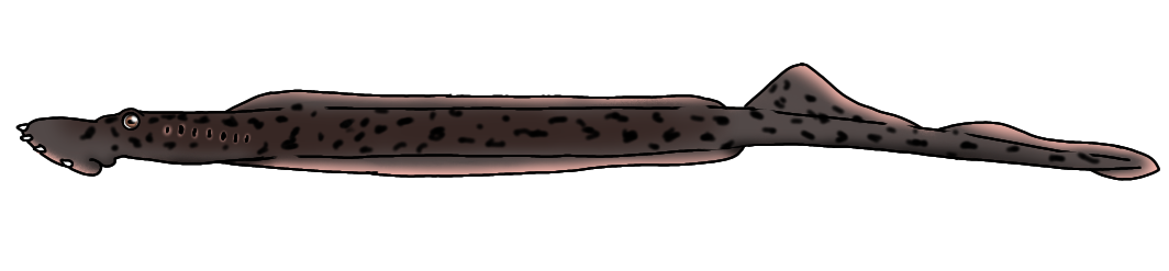 Yanliaomyzon occisor render - ibisPaint