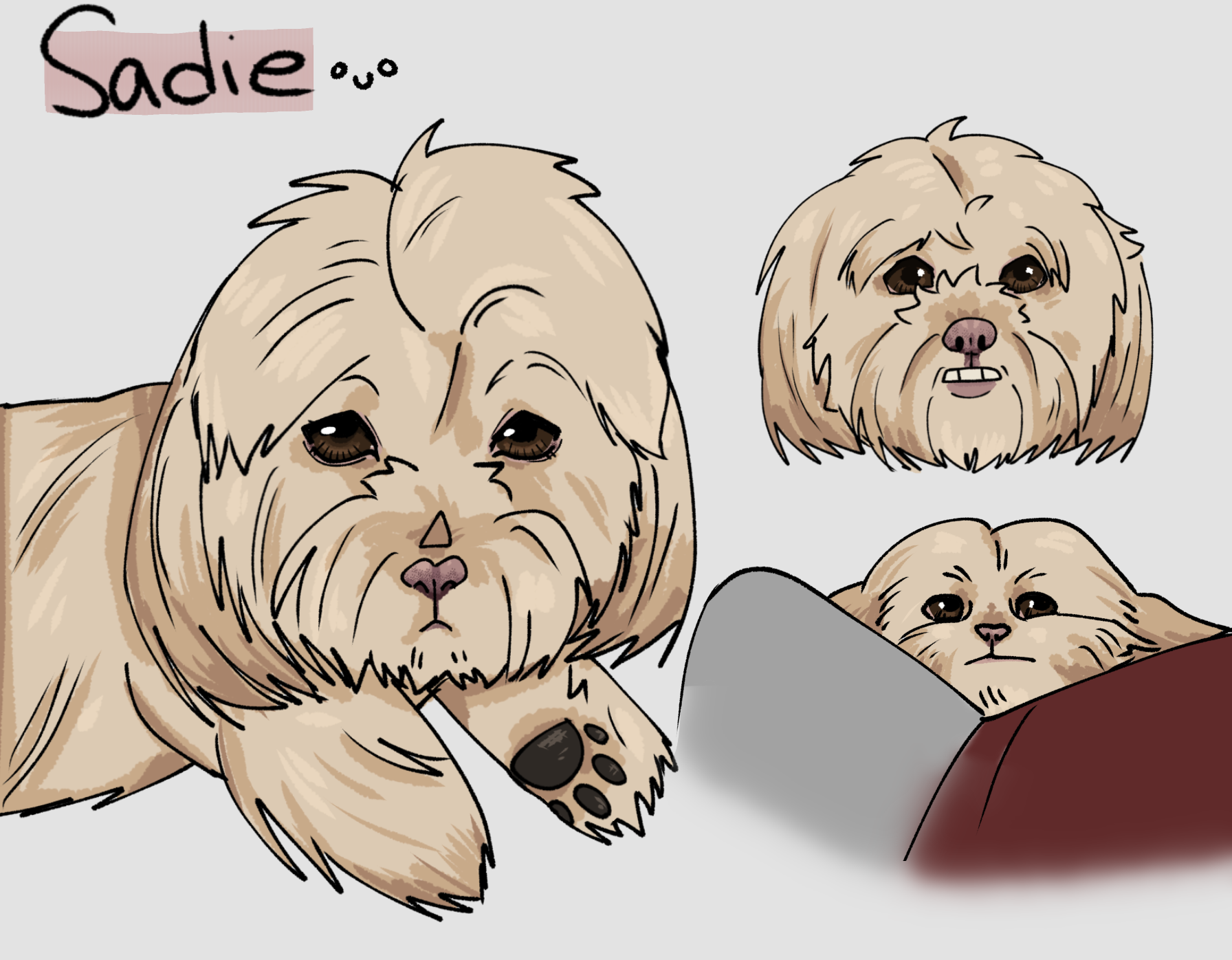 My dog (rip) - ibisPaint