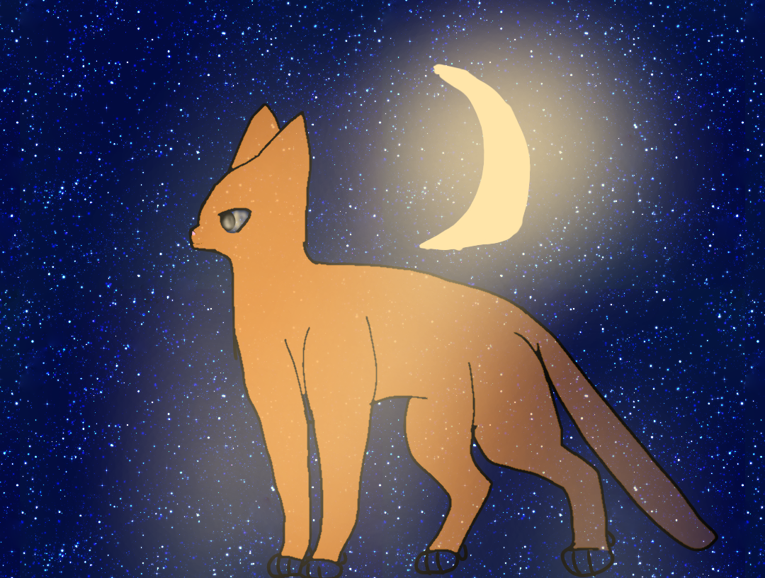 gato da 🌙lua - ibisPaint